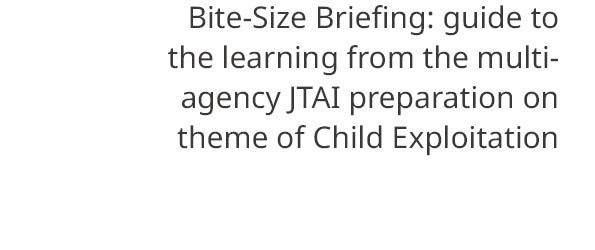 Bite Size Briefing Archives - Somerset Safeguarding Children Partnership