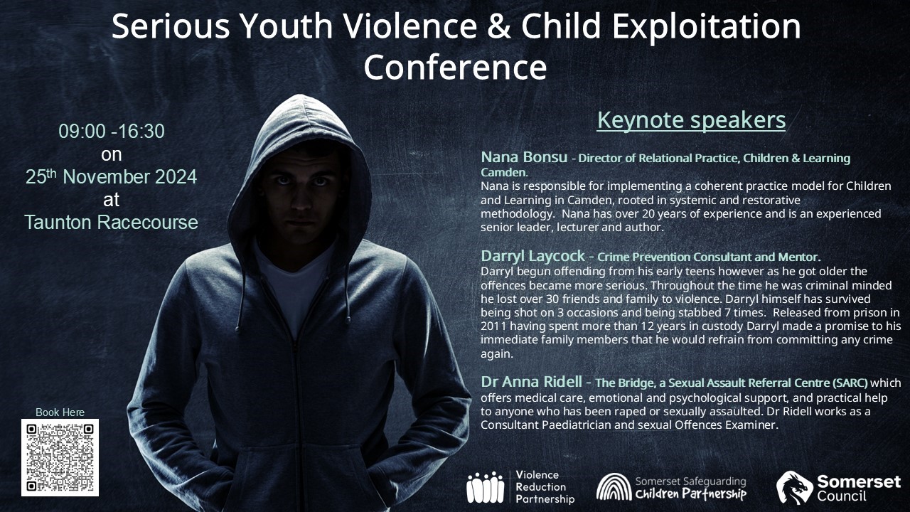 New Serious Youth Violence awareness page launched! - Somerset ...