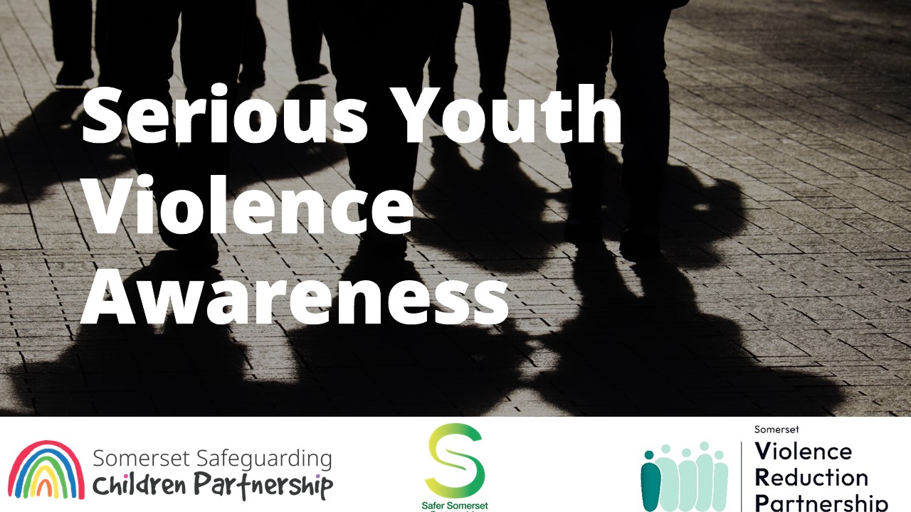 Serious Youth Violence - Somerset Safeguarding Children Partnership